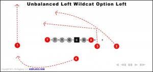 Wildcat | Youth Football Plays and Formations