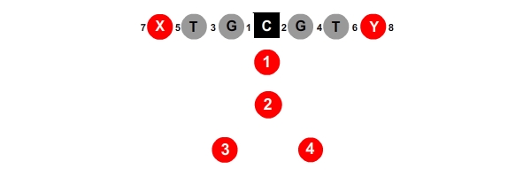 wishbone-formation2 | Youth Football Plays and Formations